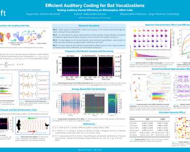 Efficient Auditory Coding for Bat Vocalizations