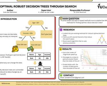 The Search for Optimal Robust Classification Trees